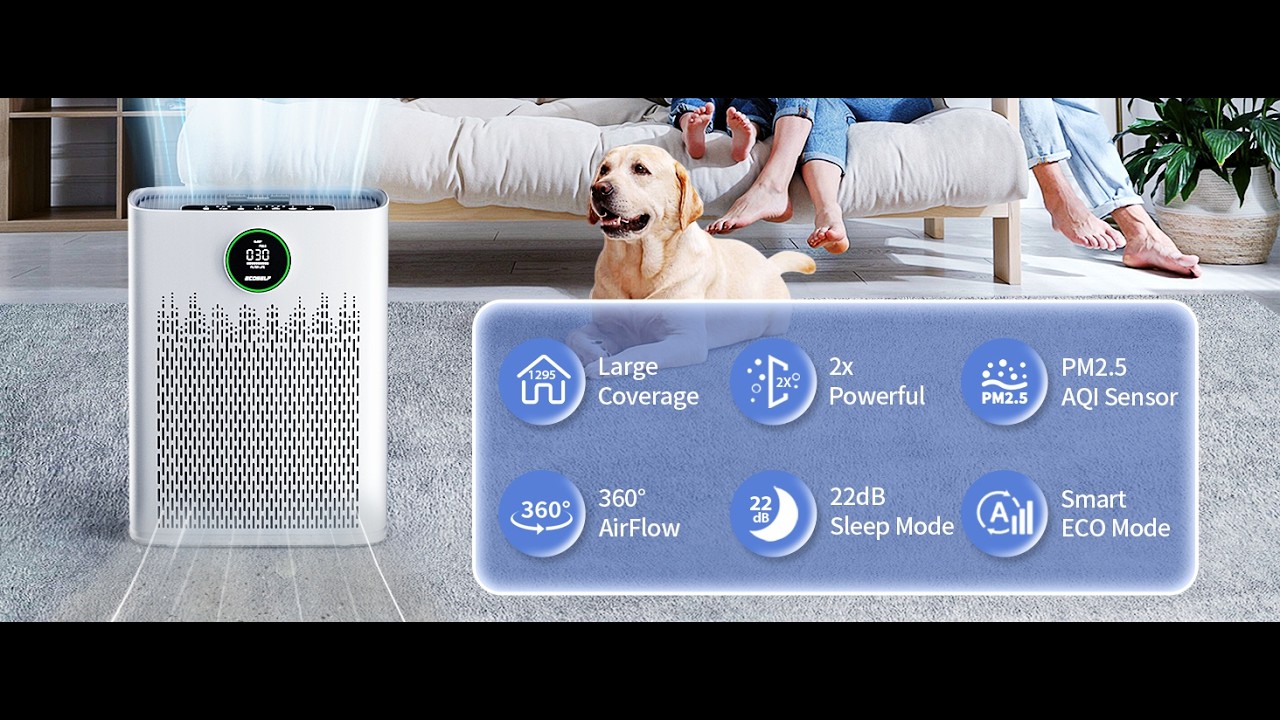 ECOSELF HAP603 Air Purifiers|Key Features - YouTube