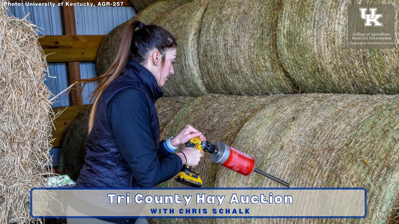 Tri County Hay Auction - YouTube