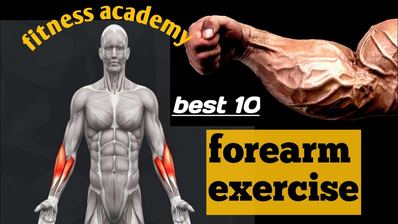 best 10 tips exercise for forearm | forearm exercise best tips ...