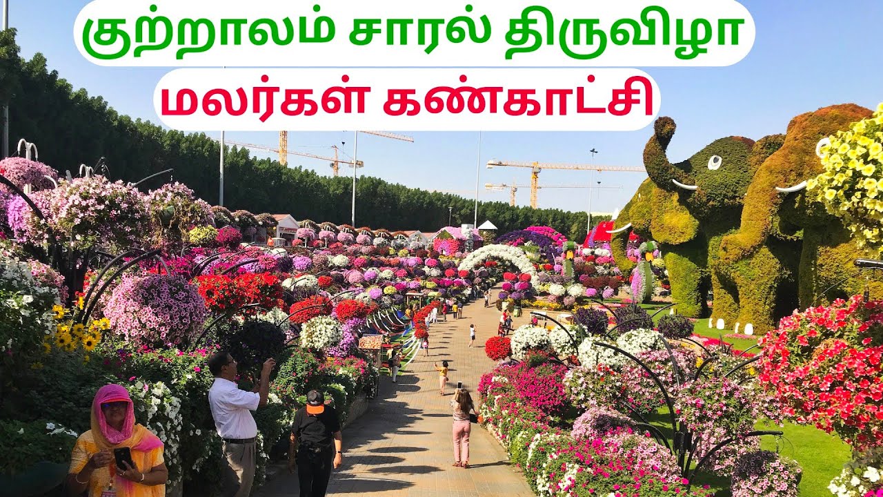 சாரல் திருவிழா மலர்கள் கண்காட்சி | Saral Festival Flower Exhibition ...