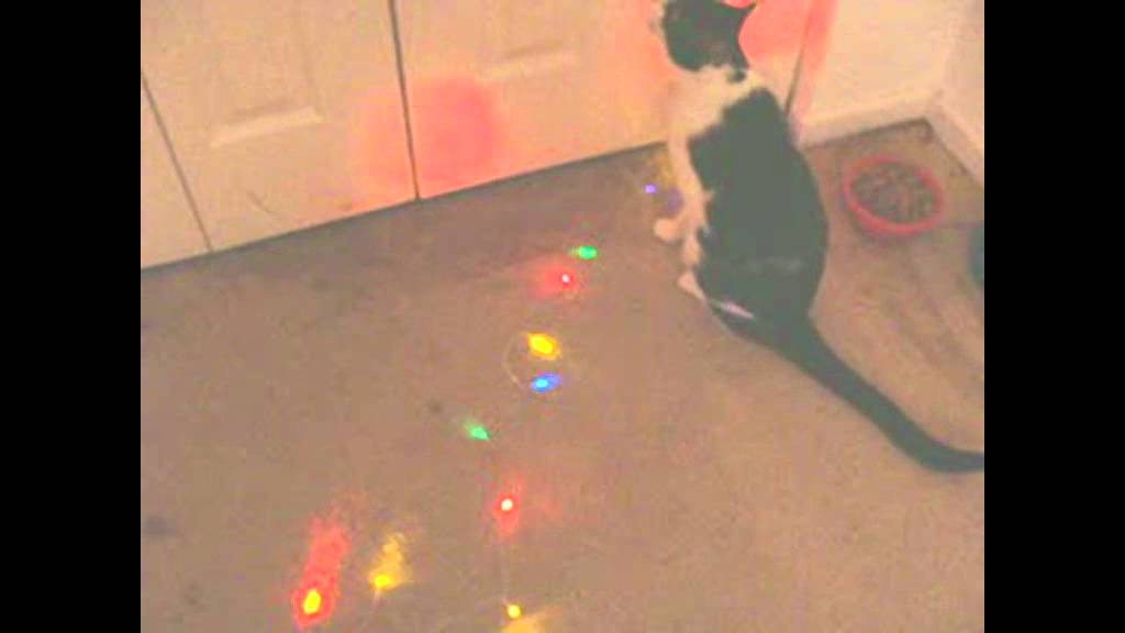 Lights.Ray Sipe.Cat. - YouTube