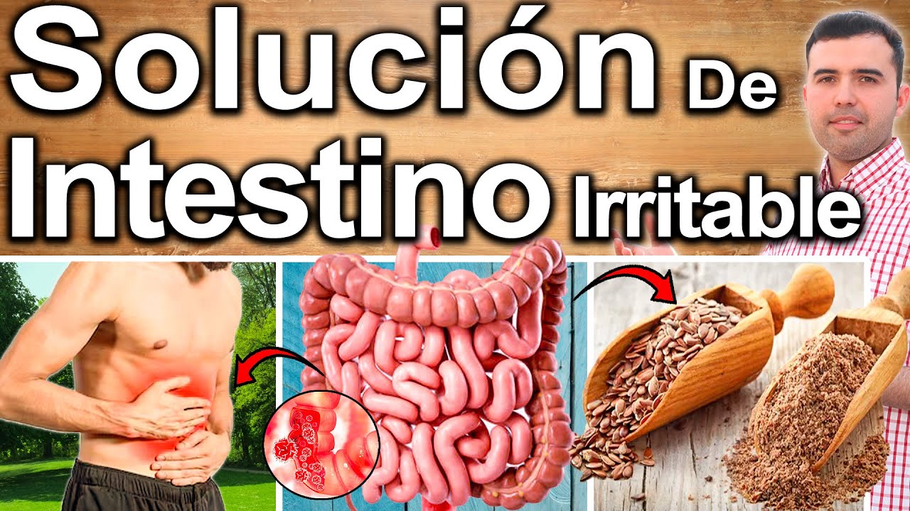 INTESTINO IRRITABLE! - Causas Y Soluciones Para Mejorar El Síndrome De ...