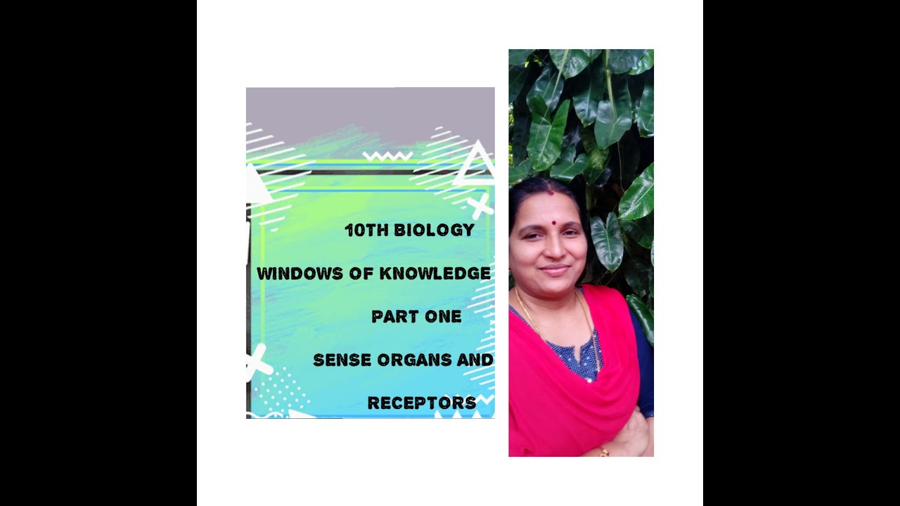 10th BIOLOGY|WINDOWS OF KNOWLEDGE|SENSE ORGANS AND RECEPTORS|BY BIJI NP ...