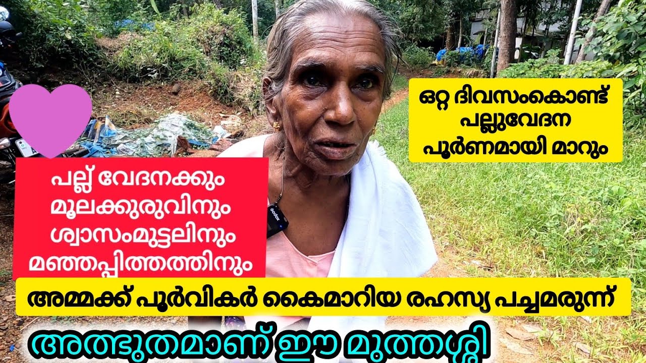 അത്ഭുതമാണ് ഈ മുത്തശ്ശി പല്ലുവേദന ഒറ്റ ദിവസം കൊണ്ട് പൂർണ്ണമായും മാറും |Nas creative - YouTube