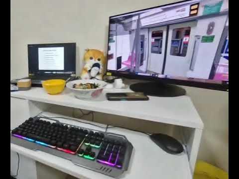 My cousin taught me how to play OpenBVE - YouTube