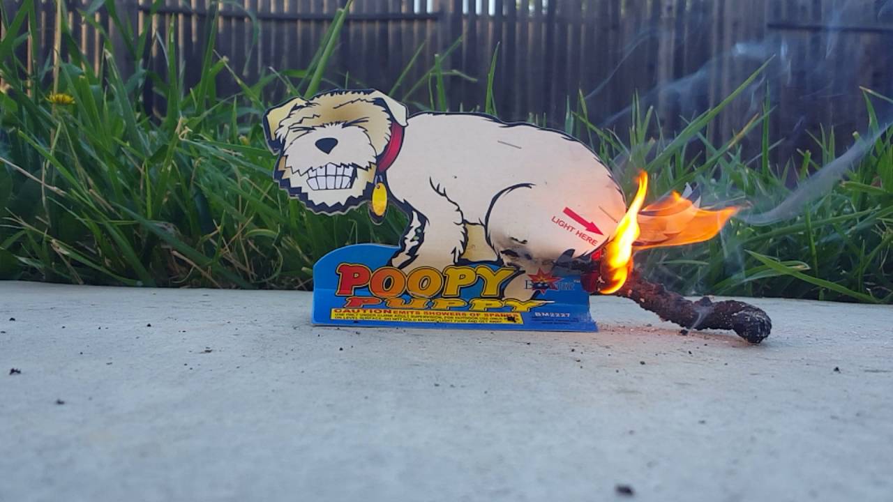 Poopy Puppy Novelty Firework - YouTube
