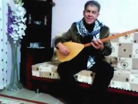 mecnun gibi
