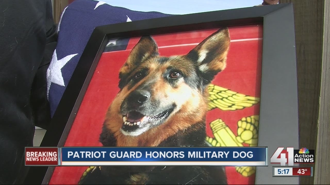 Patriot Guard honors military dog - YouTube