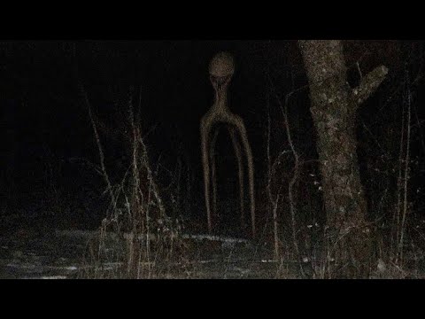 Monsters and Legends: Fresno Nightcrawler - YouTube