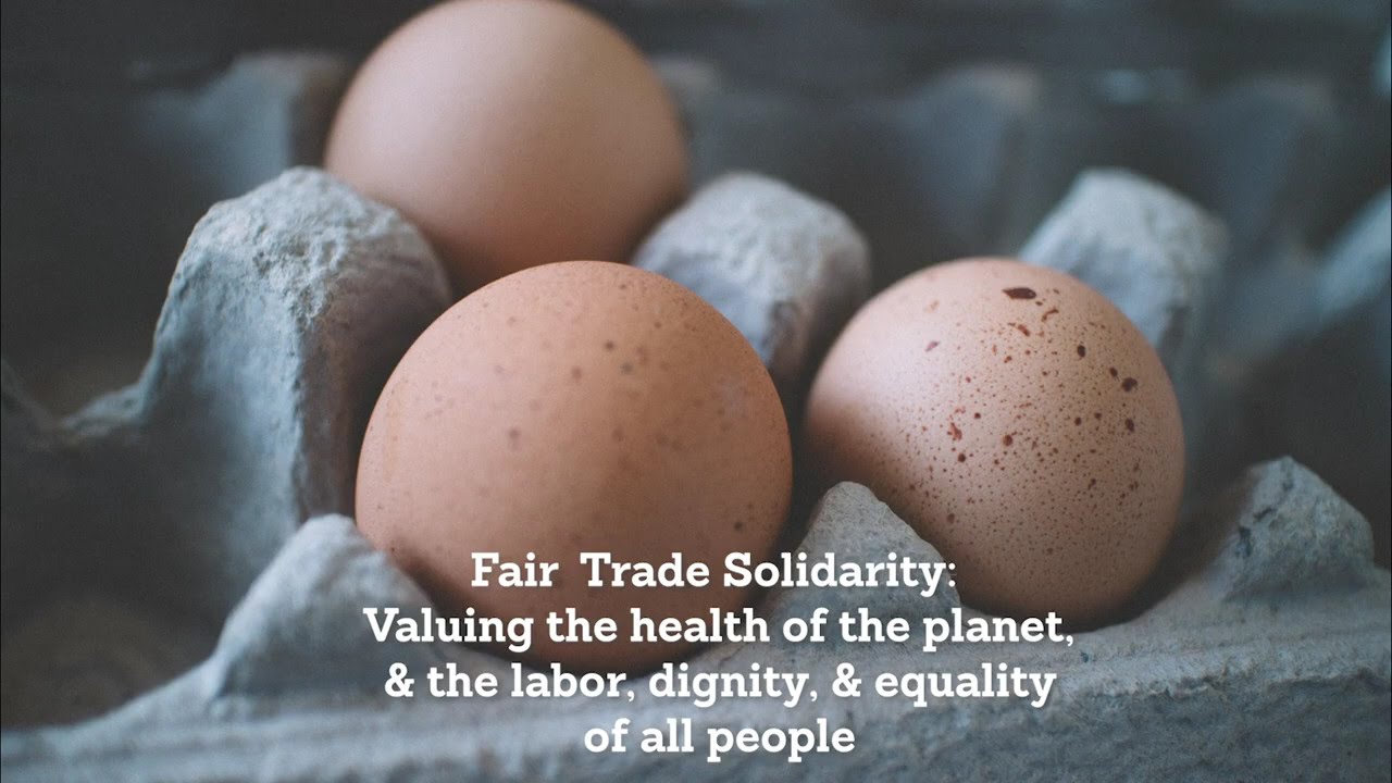 Promo: Shopping Conscientiously & Fair Trade Solidarity with Chris Solt ...