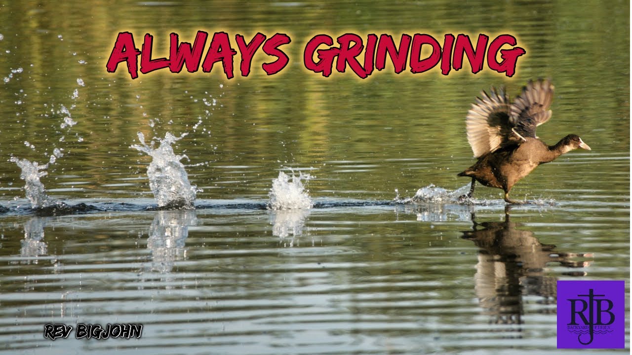 Always Grinding (Ep252) - YouTube