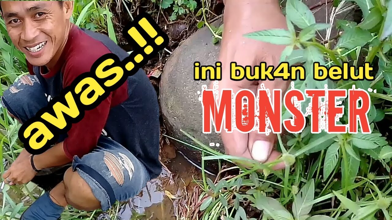 spot baru | banyak yang mengira di kolam ini gak ada belut nya ...