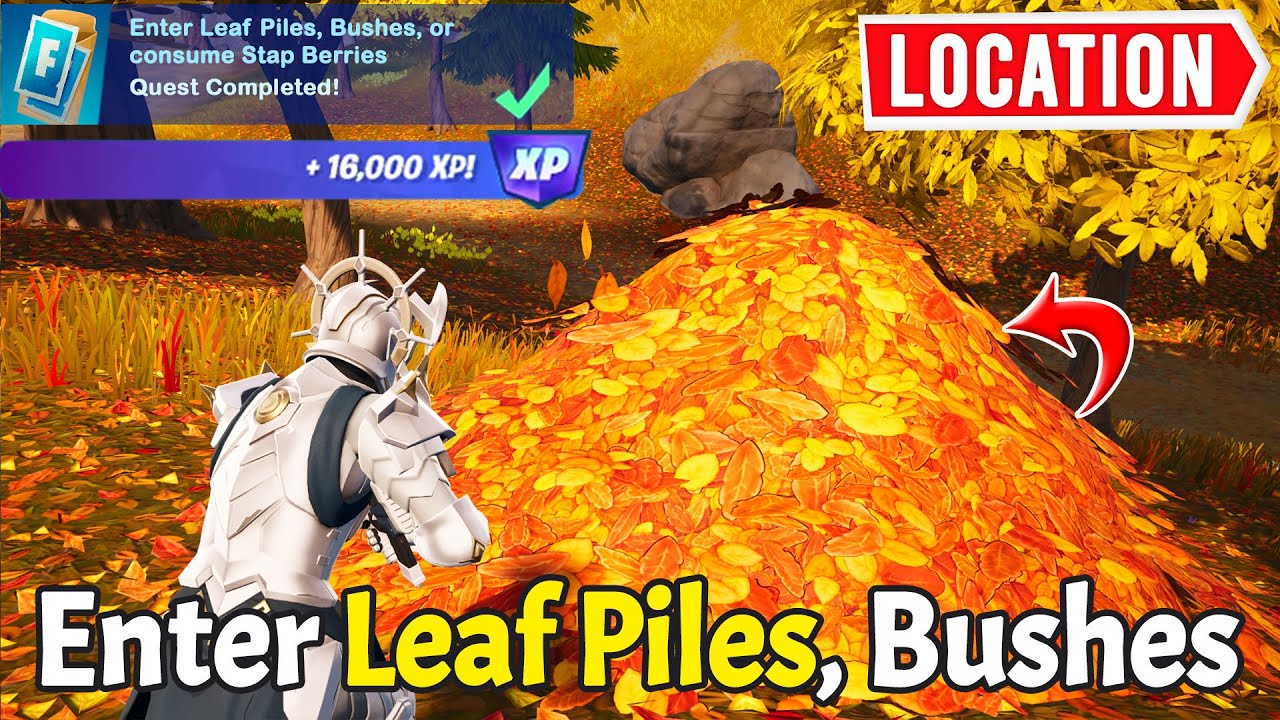 How to Enter Leaf Piles, Bushes, or consume Slap Berries | Fortnite ...