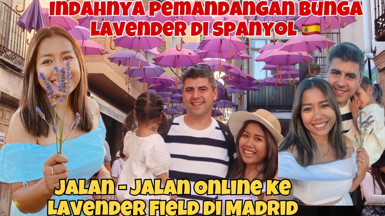 JALAN-JALAN KE LAVENDER FIELD DI MADRID - SPAIN - YouTube
