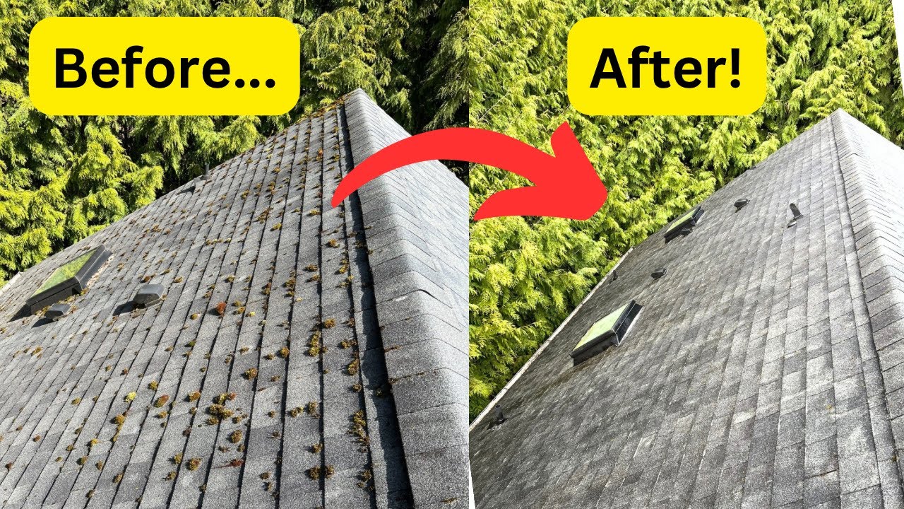Oxygen Bleach For Roof Cleaning RESULTS - YouTube