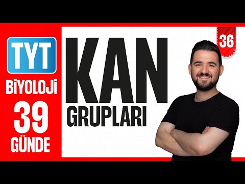 Kan Grupları Soru Çözümü| 39 GÜNDE AYRINTILI TYT BİYOLOJİ KAMPI 2026-2027 | 36
