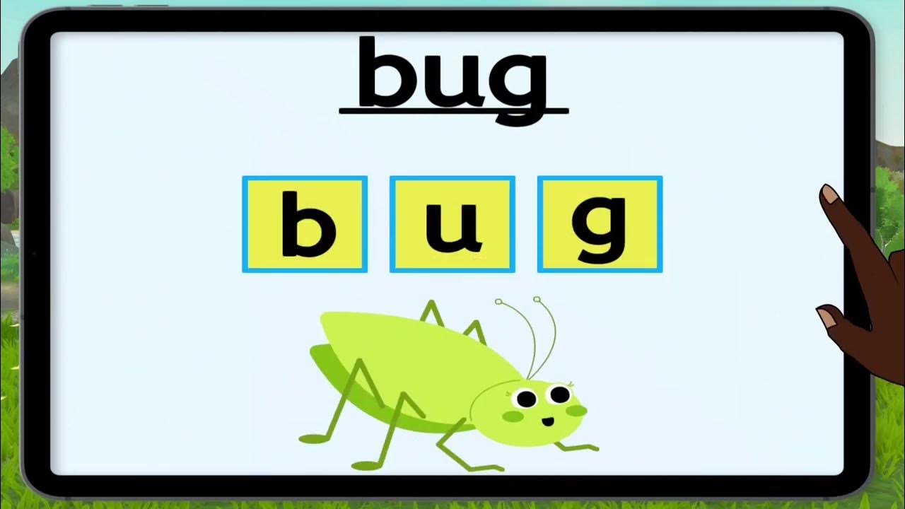 Phonics Finders - CVC Words - Bug - YouTube