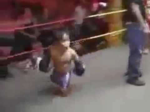 peleas de enanos - YouTube