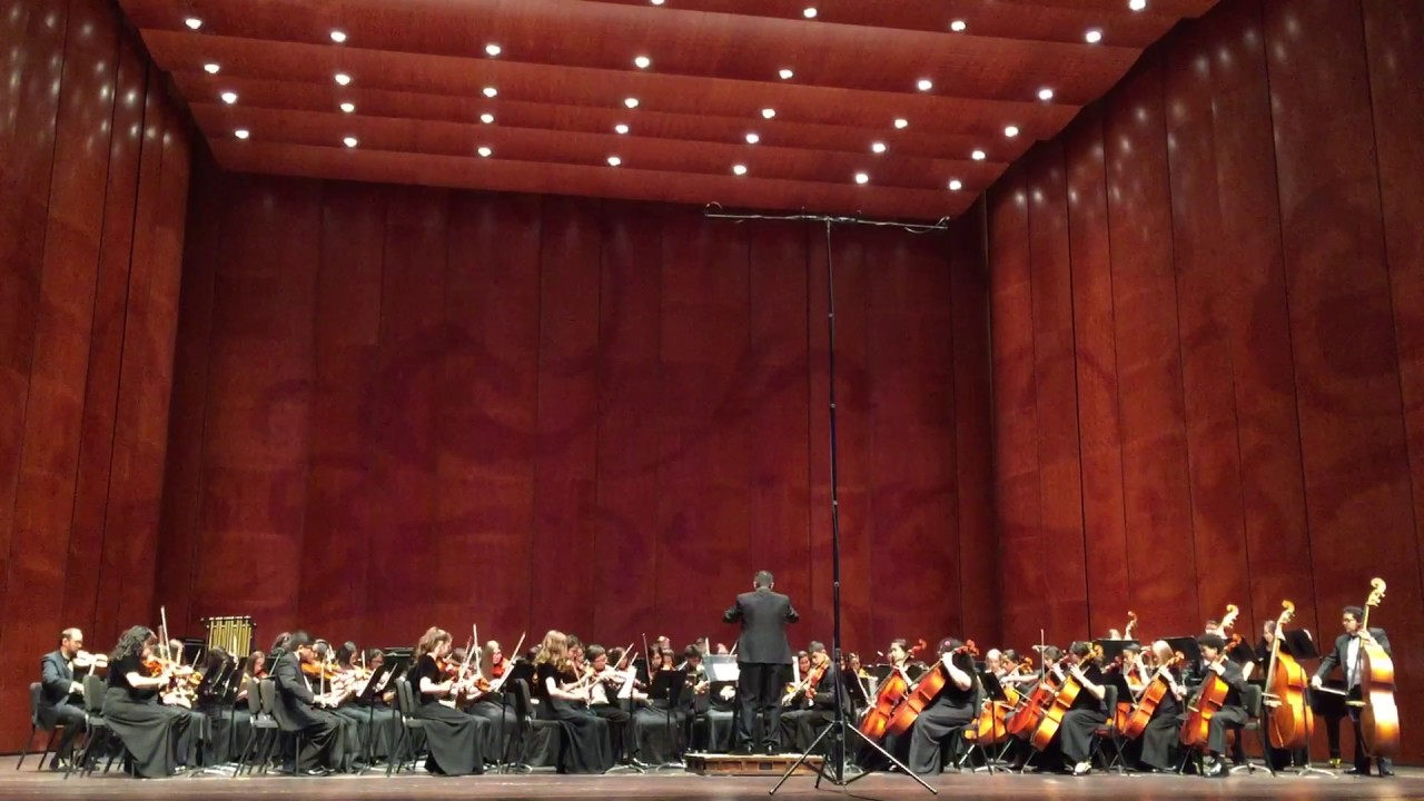Vale Middle School 2016-2017 Wind Ensemble & Orchestra performance at ...