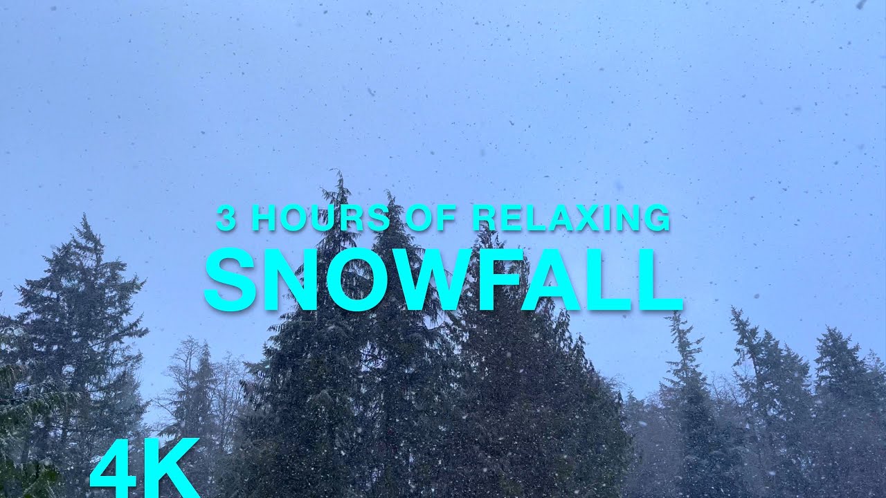 Peaceful Relaxing Snowfall 3 Hours. Relaxing Music. Stress Relief ...