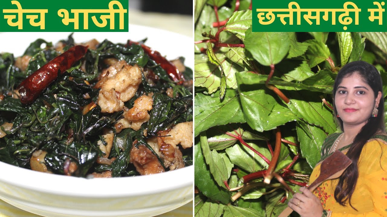 छत्तीसगढ़िया तरीका ले बनाओ चेच भाजी के मजेदार साग | Chech Bhaji Recipe ...