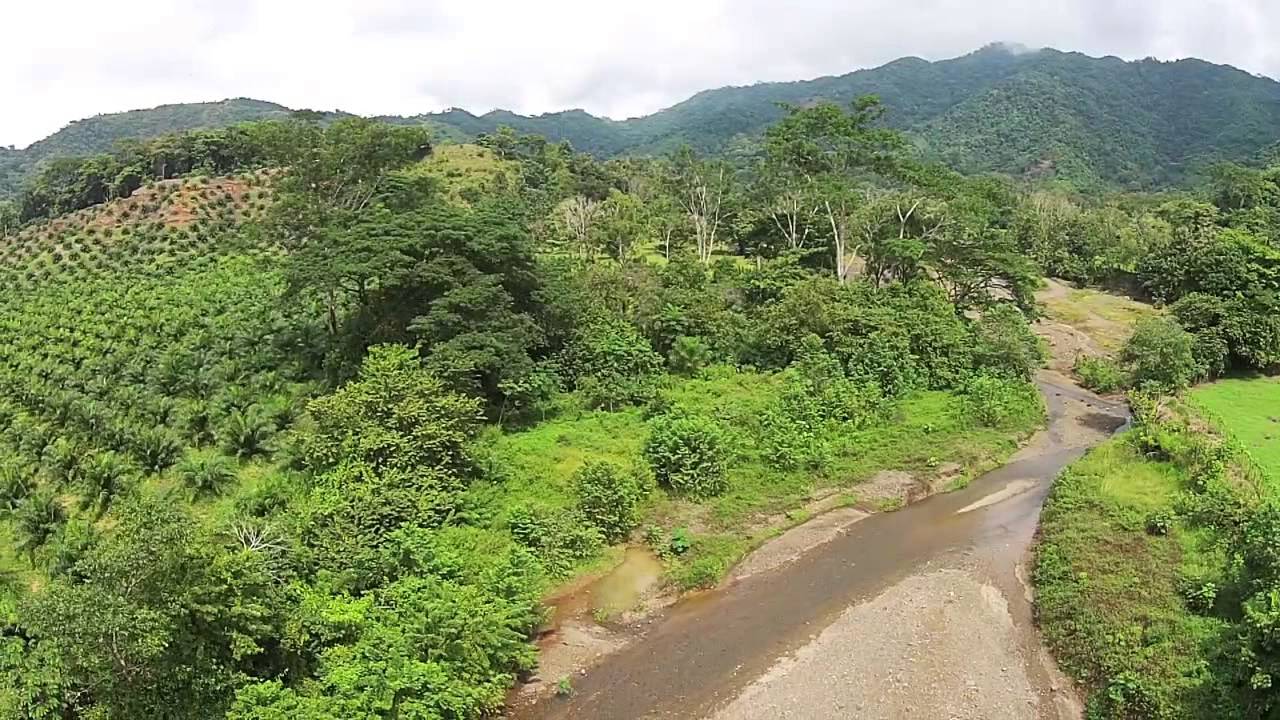 Costa Rican Agriculture - YouTube