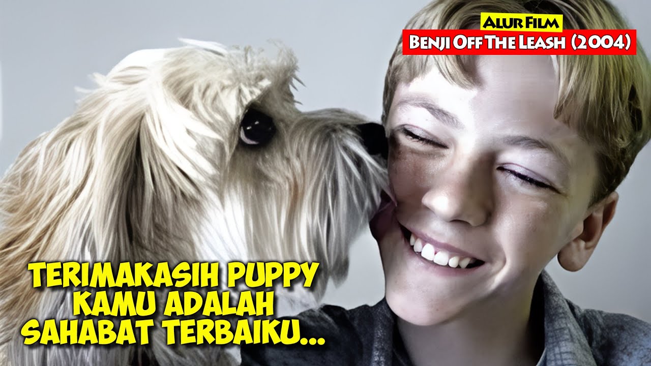 Terimakasih Puppy Kamu Adalah Sahabat Terbaiku | Alur Cerita Film Benji Off The Leash (2004 ...
