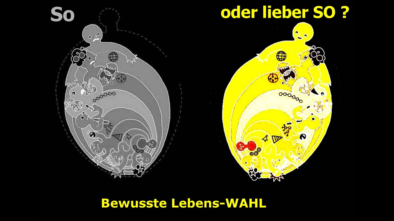 Kreatives QuantenBEWUSSTsein - Glaubenssätze,Überzeugungen austauschen ...
