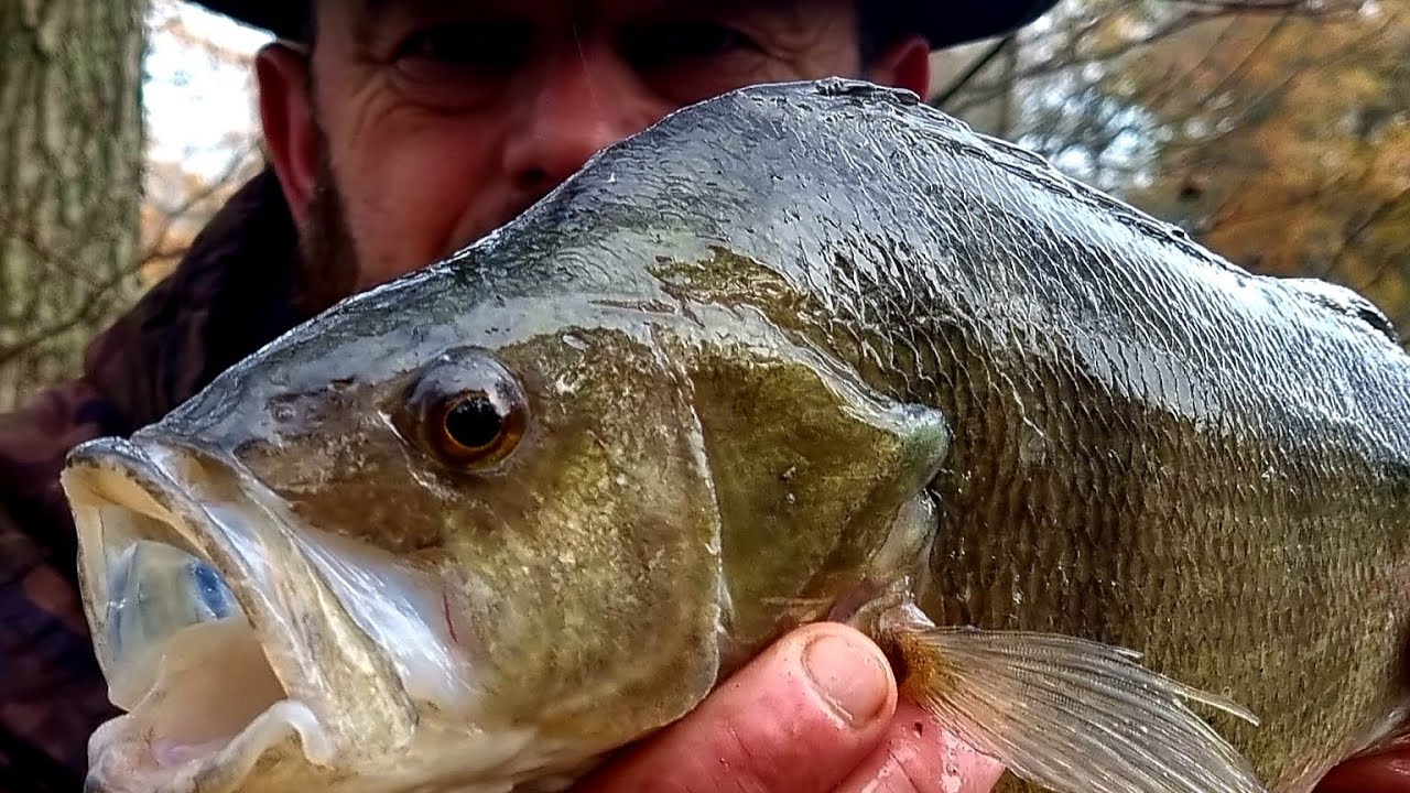 A Swagger Of Perch - My Best Session Of The Year - YouTube