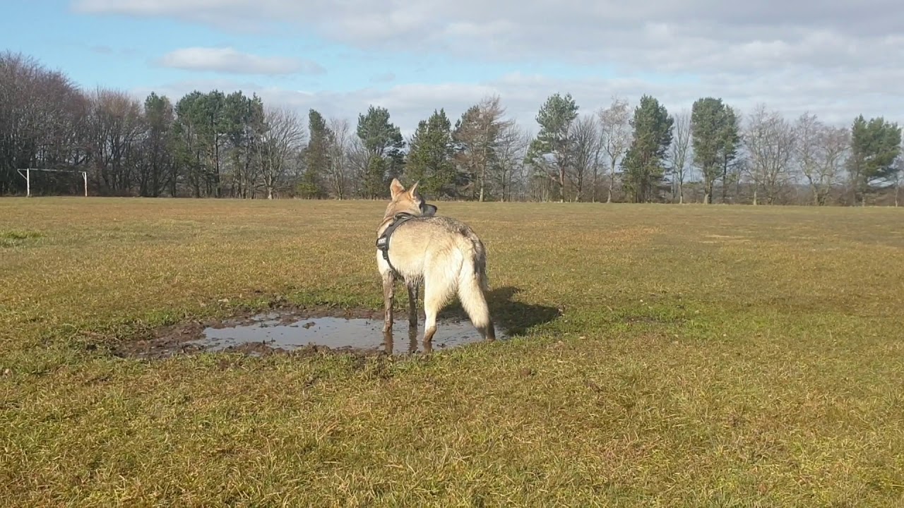 Northern Inuit - Ghost - YouTube