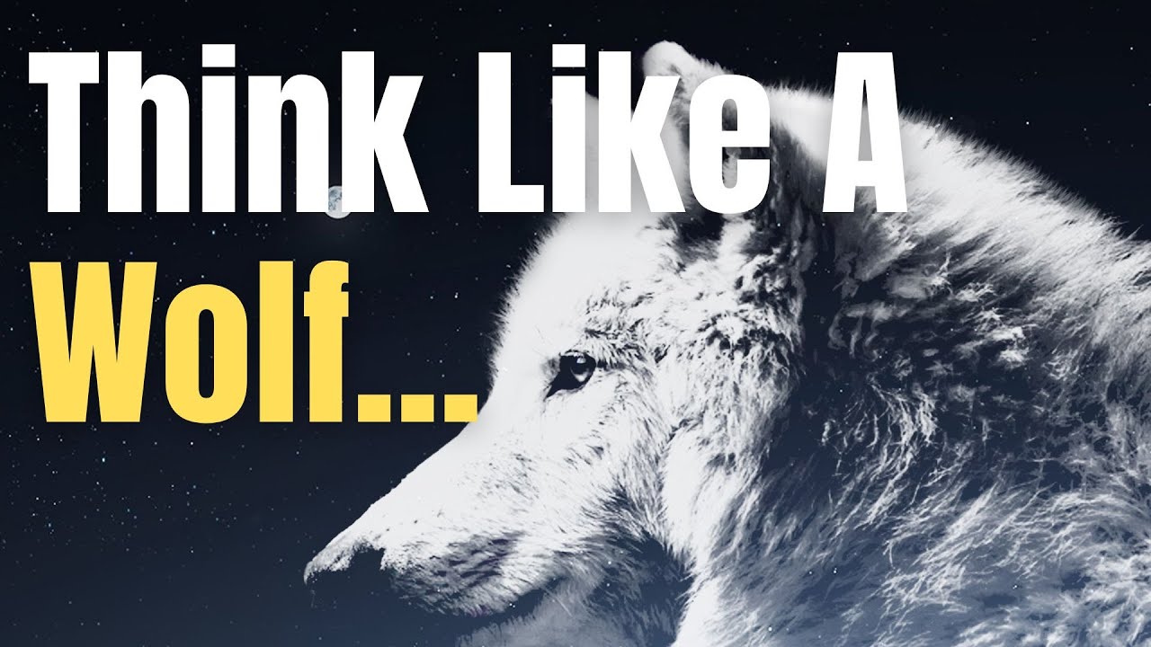 Think like a Wolf || Inspiration & Motivation for Life || Motivational ...