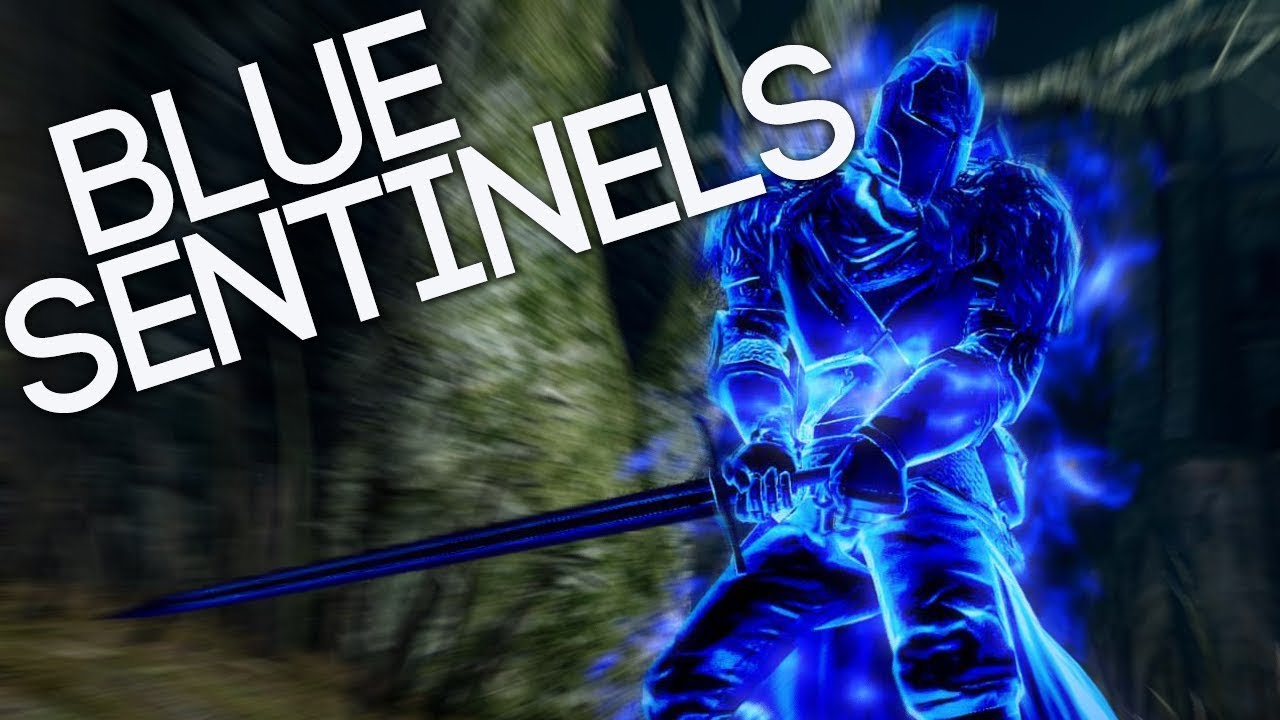 Dark Souls 2 PVP - Blue Sentinel Session#1 - YouTube