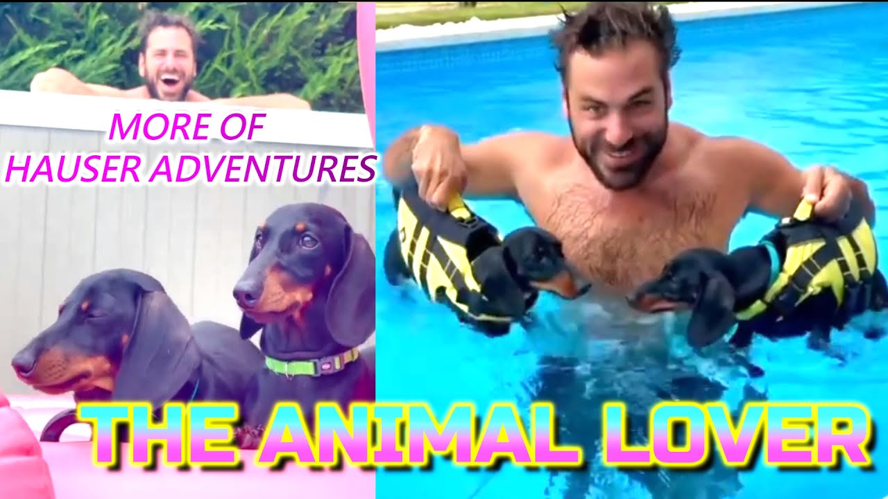 THE AMAZING LIFE OF HAUSER, THE ANIMAL LOVER DACHSHUND - YouTube