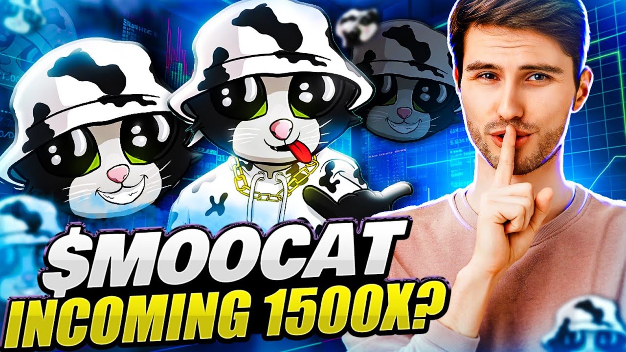 What Is MooCat (MOOCAT)? | Educational Review - YouTube