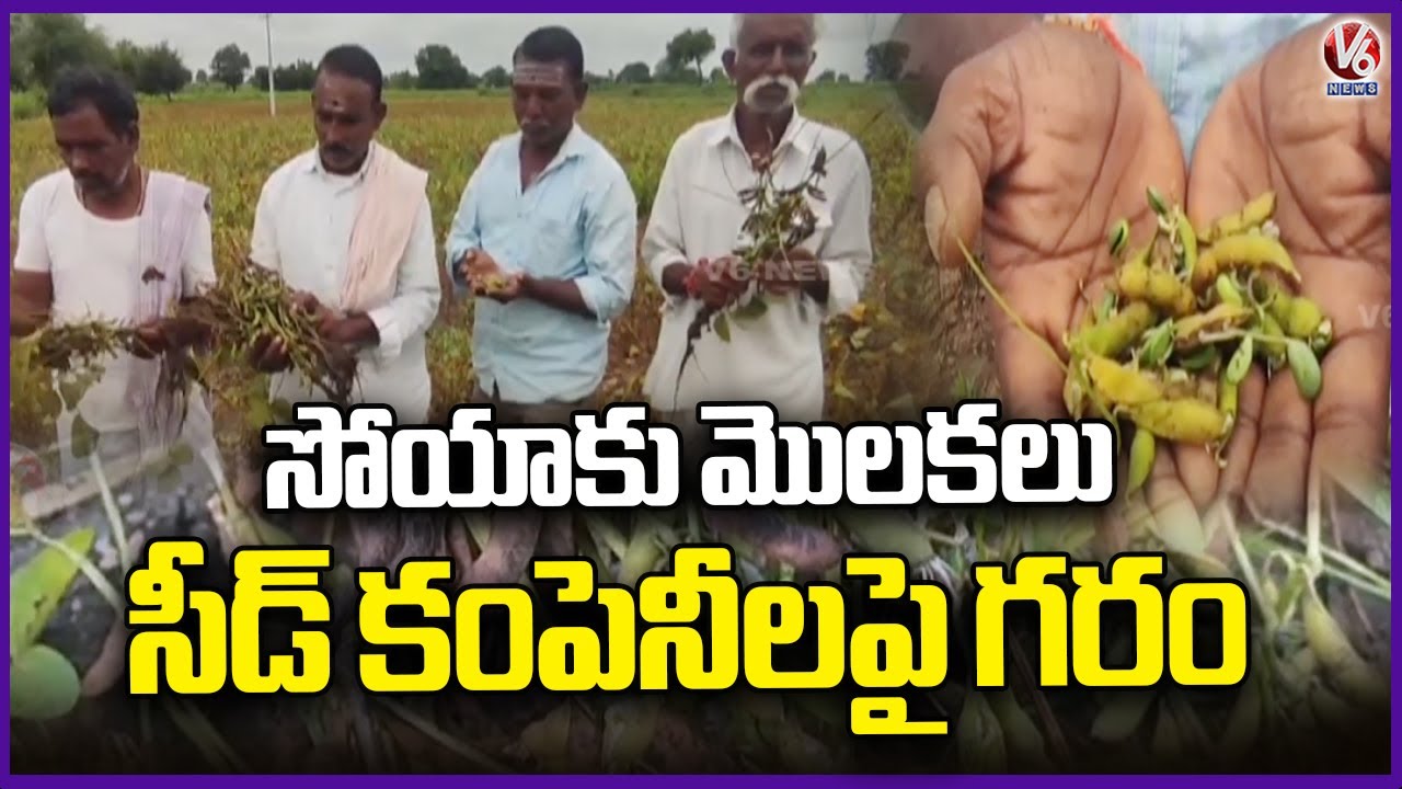 Farmers Angry at Seed Company Over Soybean Sprouts | V6 News - YouTube