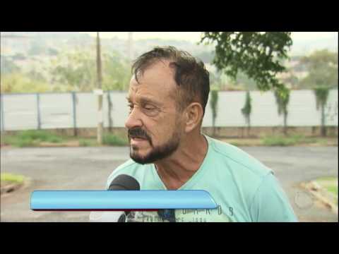 Galo cantor vira caso de polícia por incomodar vizinhos