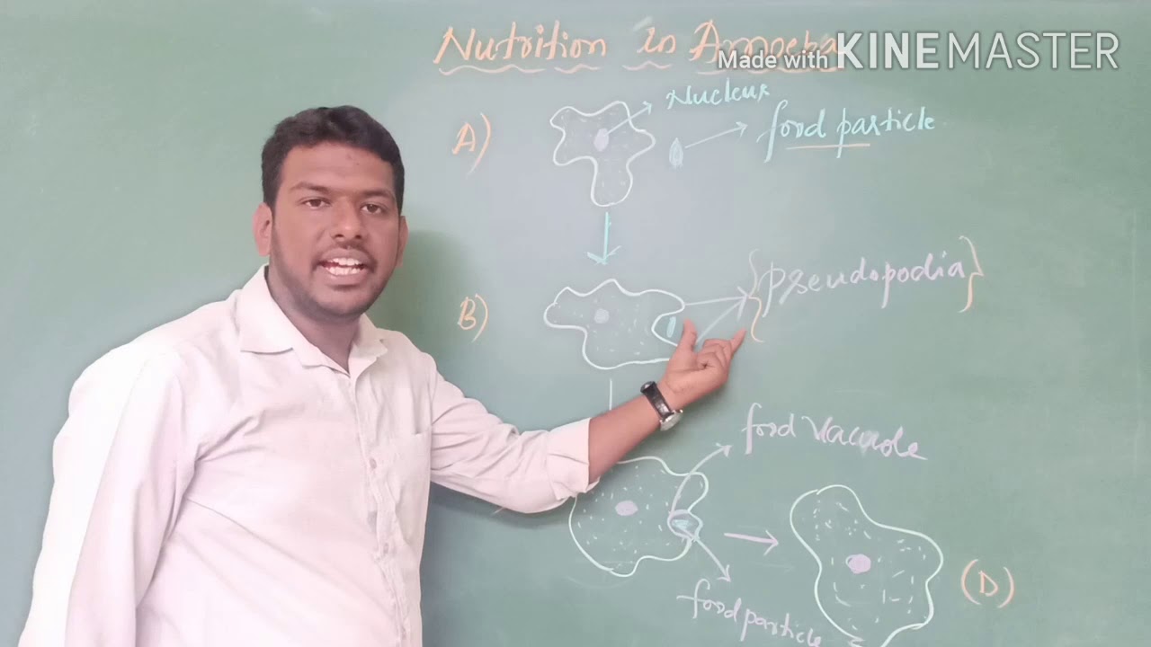 Kseeb 9th Science YouTube kseeb-9th-science-youtube