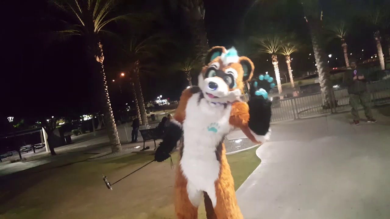 Some fursuit fun at the park - YouTube