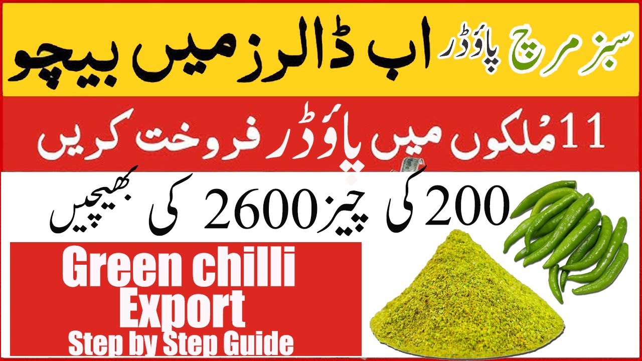 How to export Green chilli from pakistan || Sabaz mirch export ...