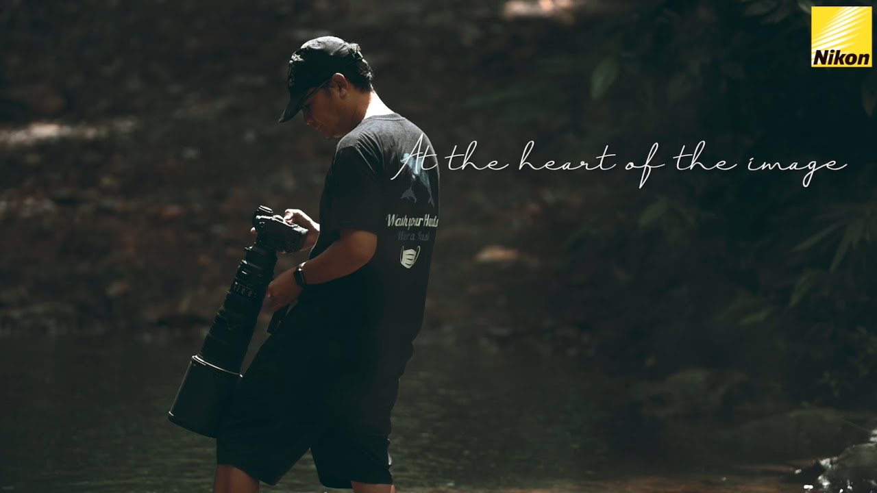 At The Heart Of The Image - YouTube