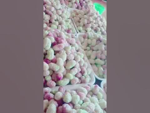 توت بلدي - YouTube