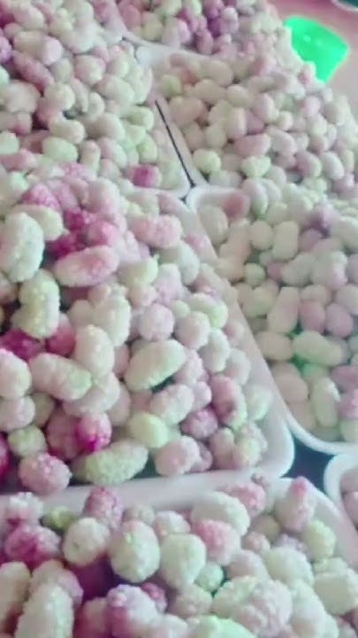 توت بلدي - YouTube