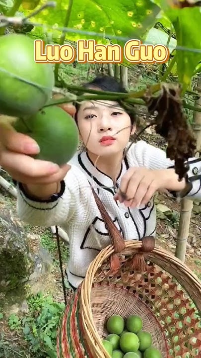 Luo Hanguo is a guilt free alternative to sugar.Its unique refreshing taste will delight your ...