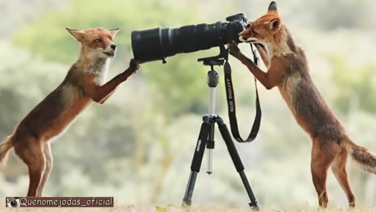 Fotos Tomadas en el Momento Exacto #13 - 2016 - Photos Taken At The ...