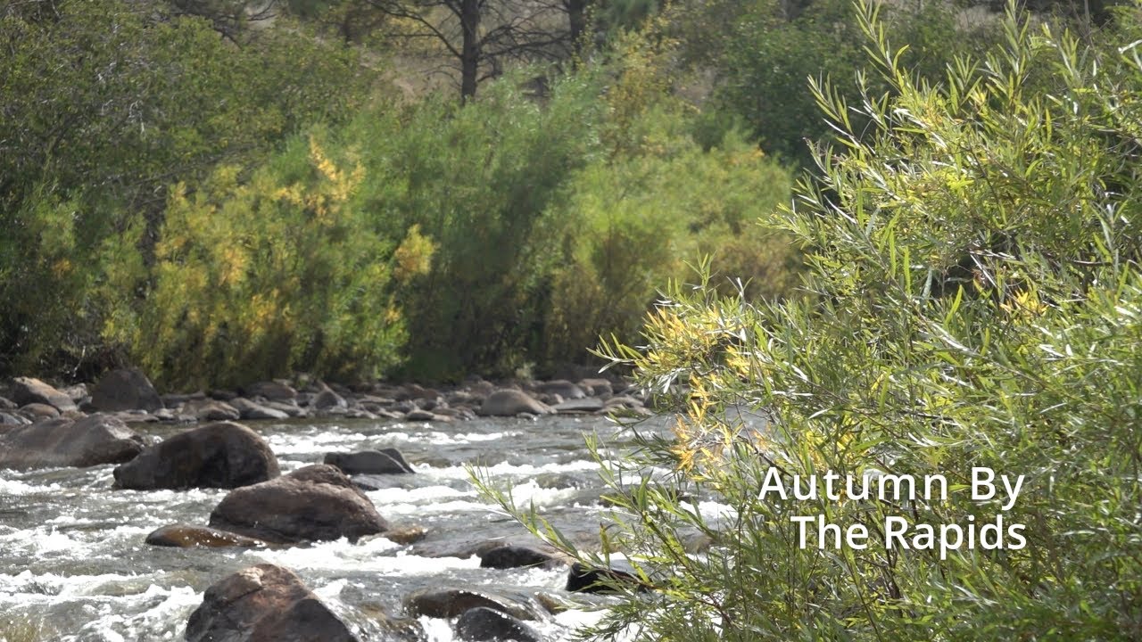Autumn By The Rapids - Poudre River - YouTube