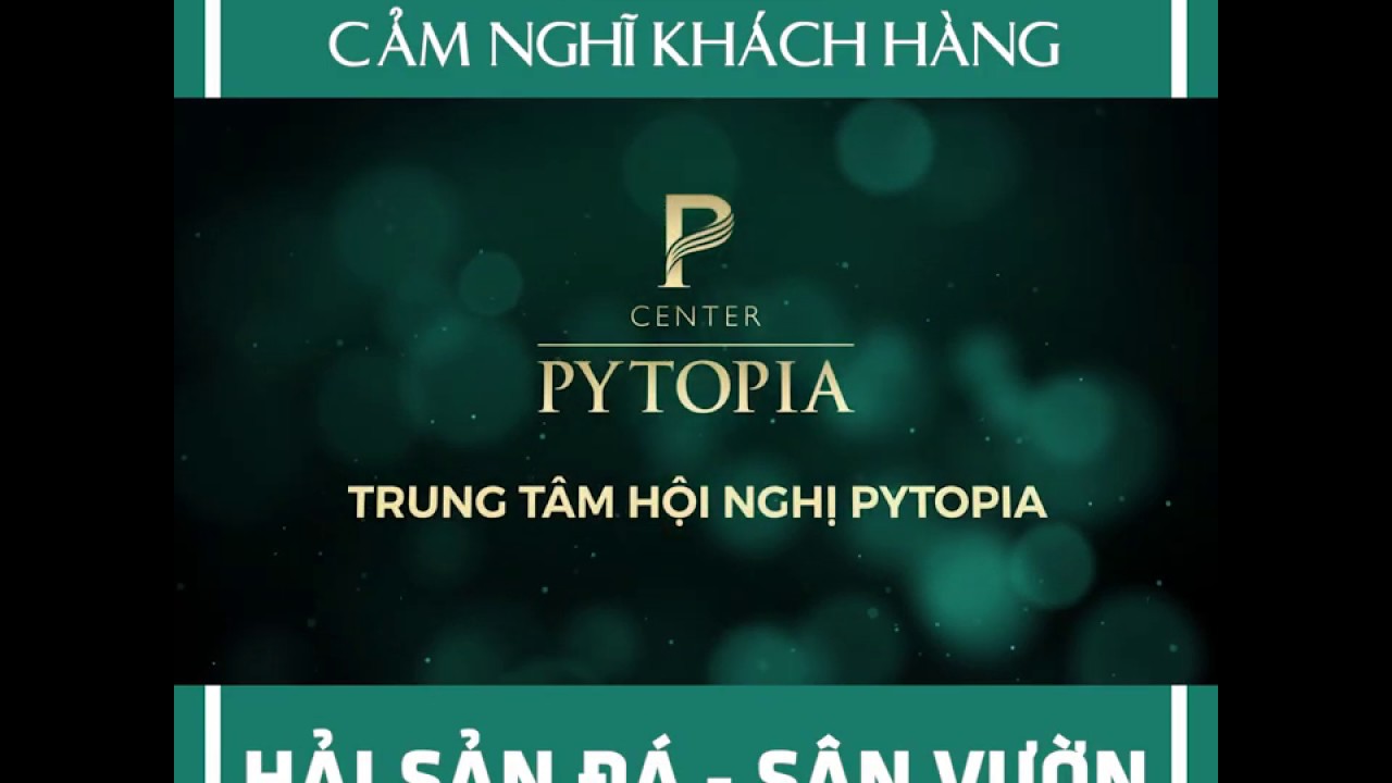 Pytopia | Phỏng vấn thực khách tại nhà hàng hải sản Đá Pytopia - YouTube