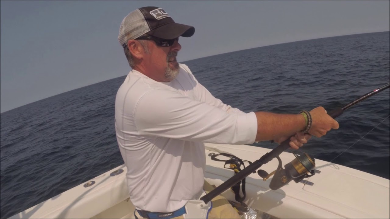 Shark Promo 2019 - YouTube