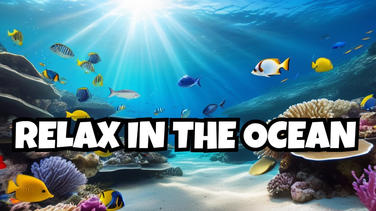 Ocean Serenity: Relax with Peaceful Fish & Soothing Sea Sounds - YouTube