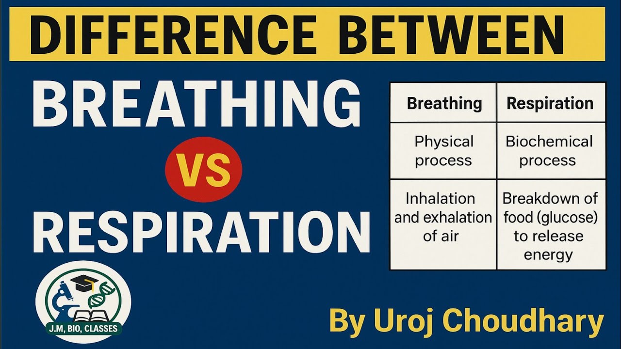 Breathing vs Respiration | Class 10 Biology | Clear & Easy Explanation ...