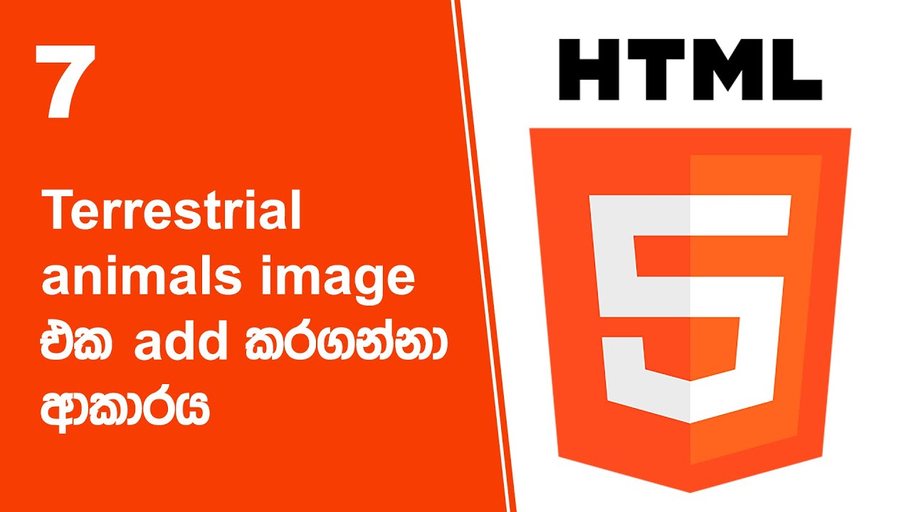 HTML Project 17 Step 07 | Terrestrial animals image එක add කරගන්නා ...